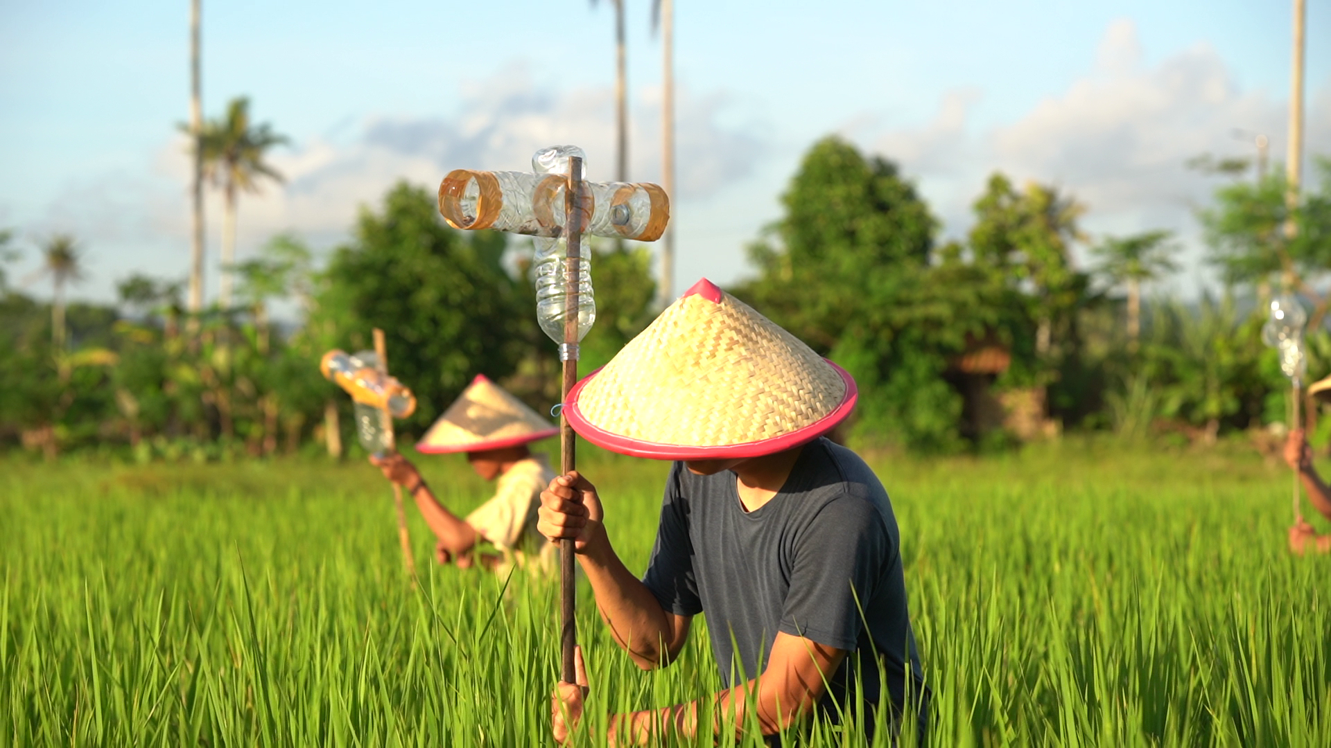 Young Cool Farming Challenge: Pembuktian Petani Muda Menjawab Krisis ...