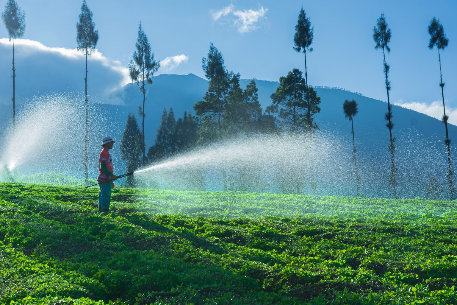Menengok Kembali Kontes Foto RYCAM – RYCAM